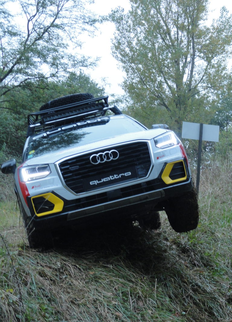 Audi home of quattro tour : une expérience client tout en sensations fortes
